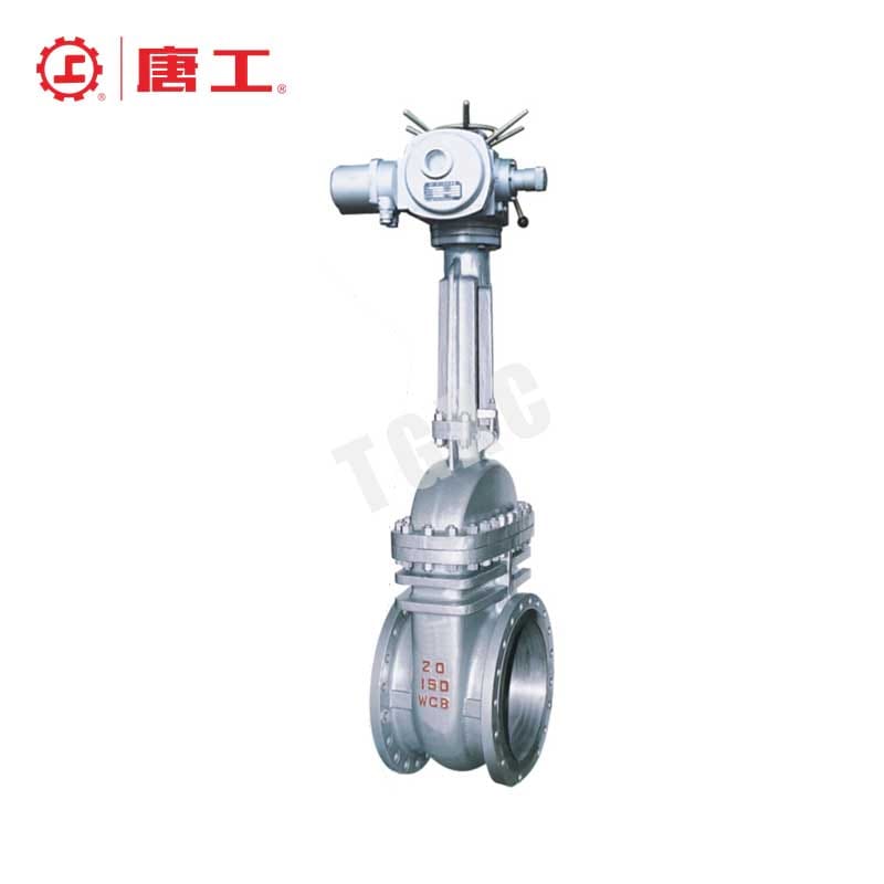 Electric Gate Valve | Tangong Valve Group