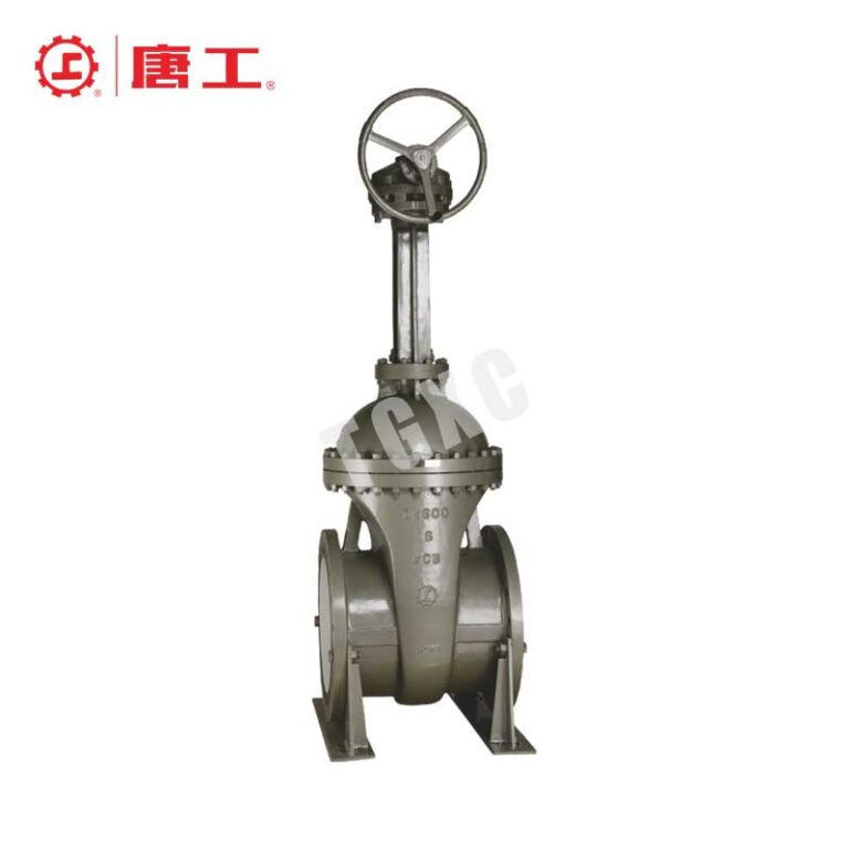 What Is A Wedge Gate Valve | Tanggong Valve Group
