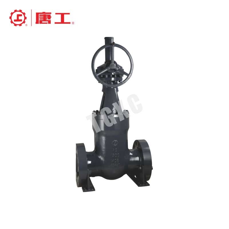 Chrome Molybdenum Steel Gate Valve | Tangong Valve Group