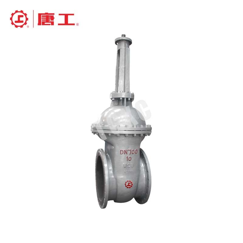 Wedge Gate Valves | Tanggong Valve Group