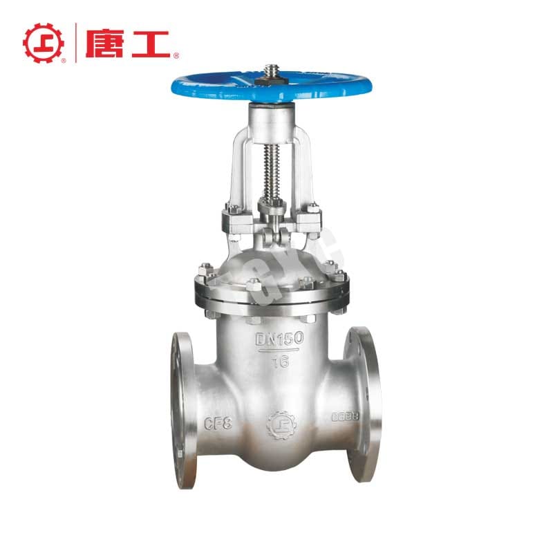 Stainless Steel Flanged Gate Valve | Tangong Valve Group
