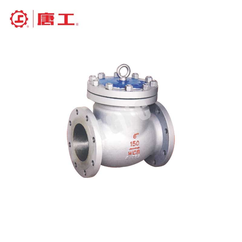 Check Valves for Water Supply and Wastewater Treatment