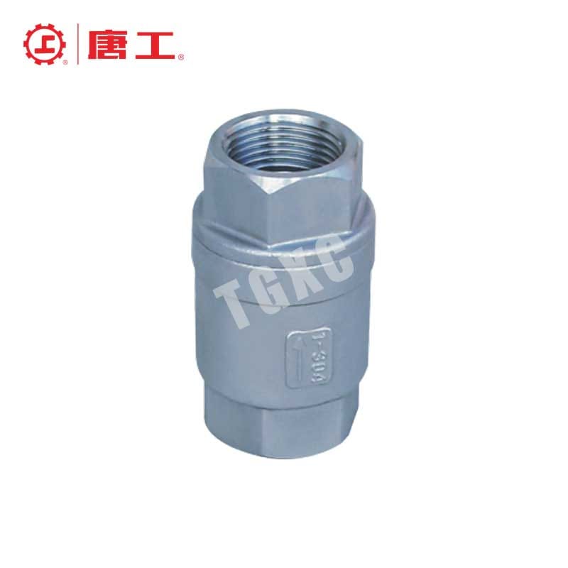 Threaded Vertical Check Valve | Tanggong Valve Group