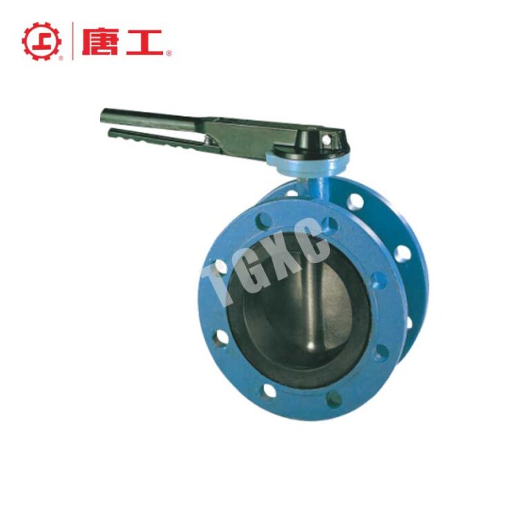Flanged Eccentric Butterfly Valve | Tanggong Valve Group