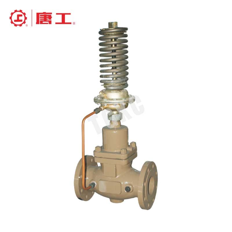 Self-Operated Differential Pressure Control Valve | Tangovalve