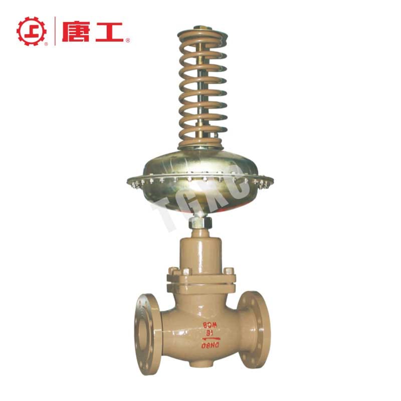 Self-Operated Control Valve | Tanggong Valve Group