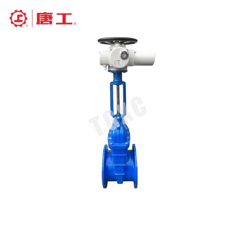 Electric Soft Seal Flange Gate Valve | Tangovalve
