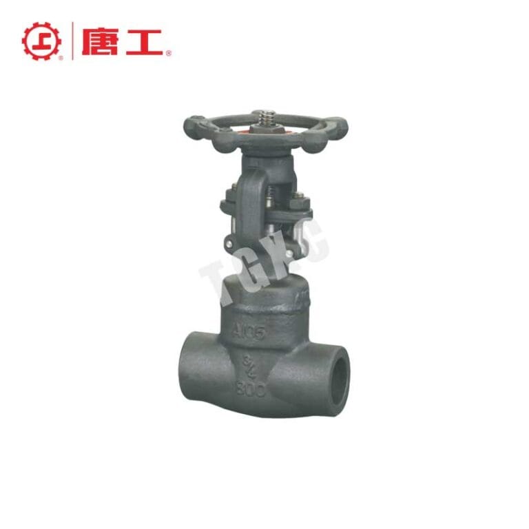 Socket Weld Gate Valve | Tangovalve