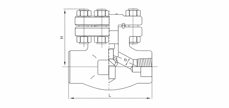 Forged Steel Check Valve