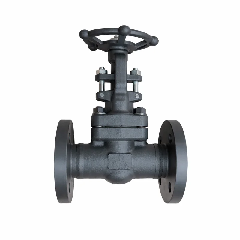 Forged Steel Check Valve