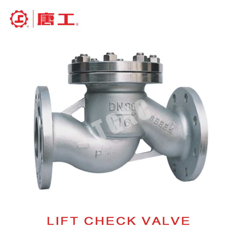 What is a Flange Check Valve