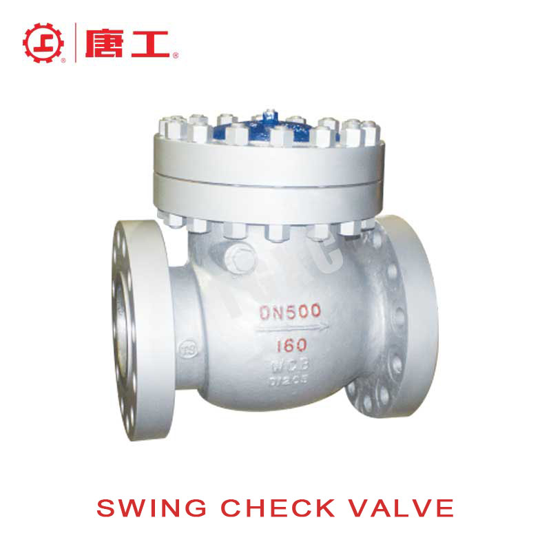 Swing Check Valve vs Spring Check Valve