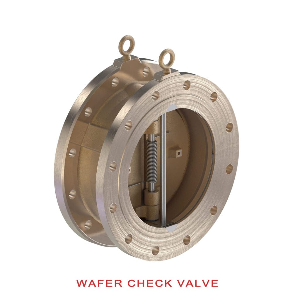 What is a Flange Check Valve