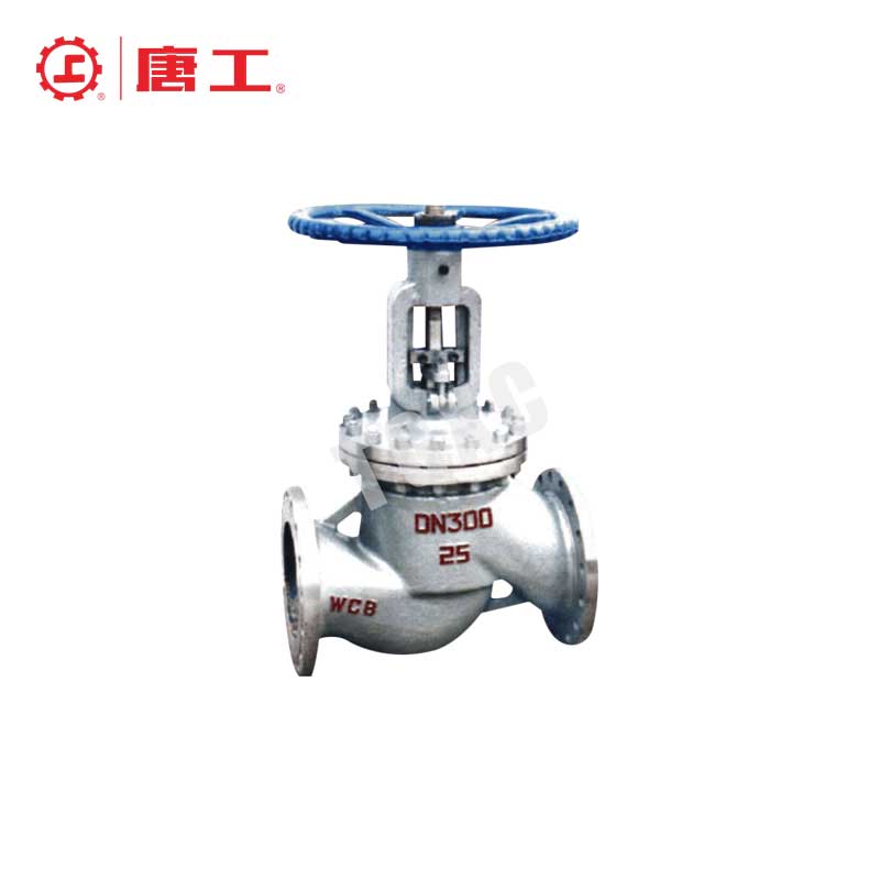 What Is a Globe Valve?