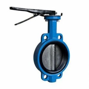 What is API 609 Butterfly Valve